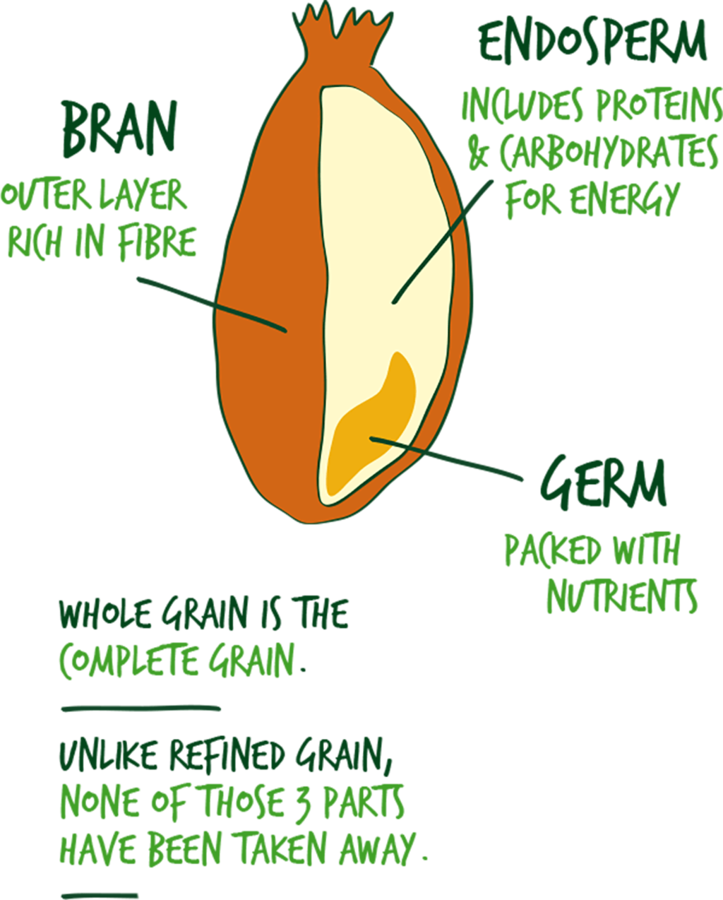 Grainy Goodness | Field&Fire